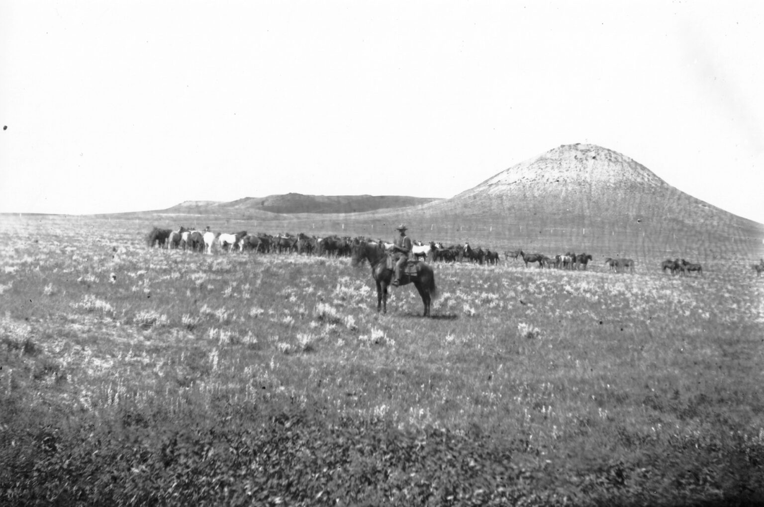 When the Vast Texas XIT Expanded to Montana