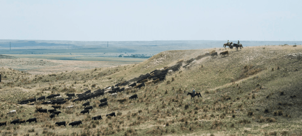 People Archives - Ranching Heritage Association
